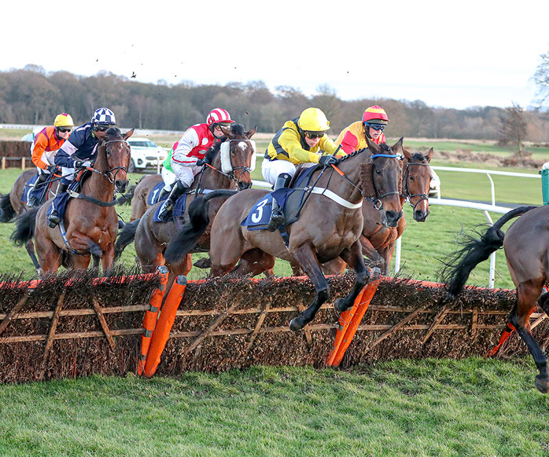 Meet The Team » Biography » Home